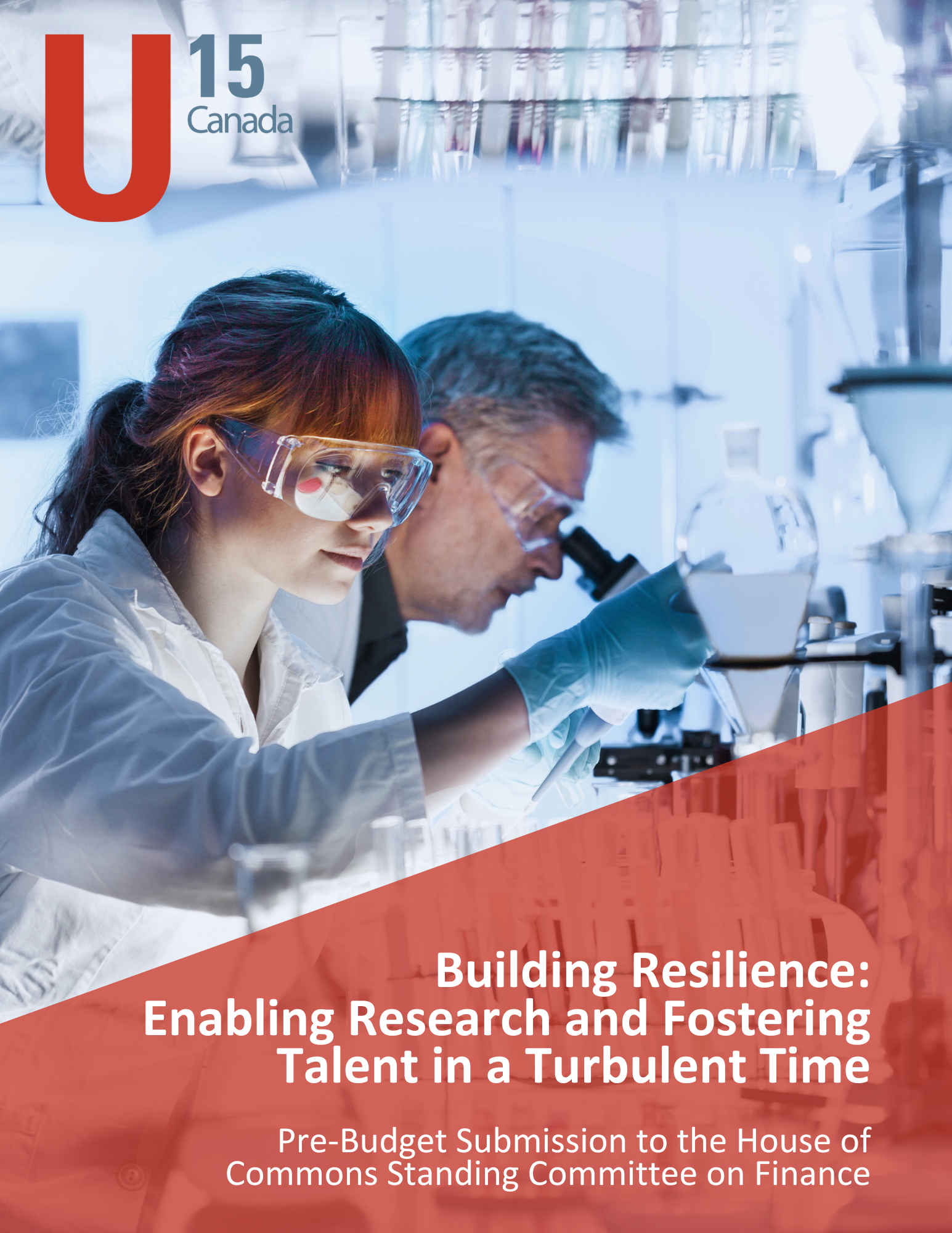 Building Resilience: Enabling Research and Fostering Talent in a ...